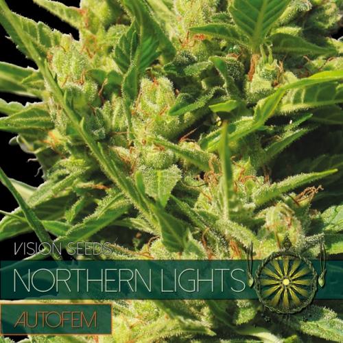 Northern Lights Auto - Vision Seeds - Annibale Seedshop