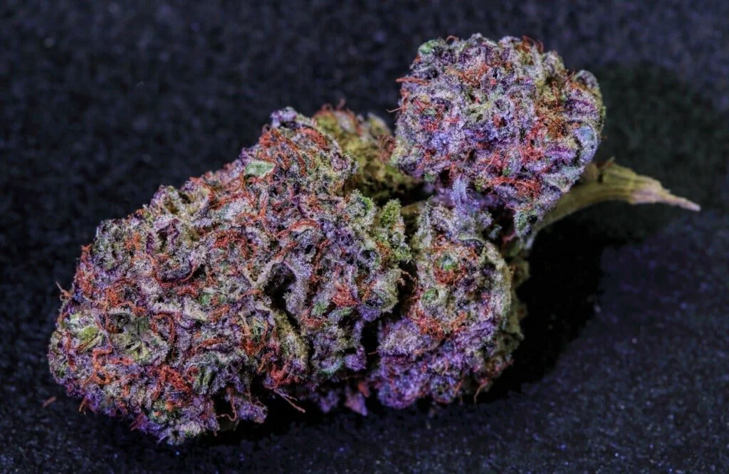 Cannabis Curing: How to Cure Perfect Marijuana Buds