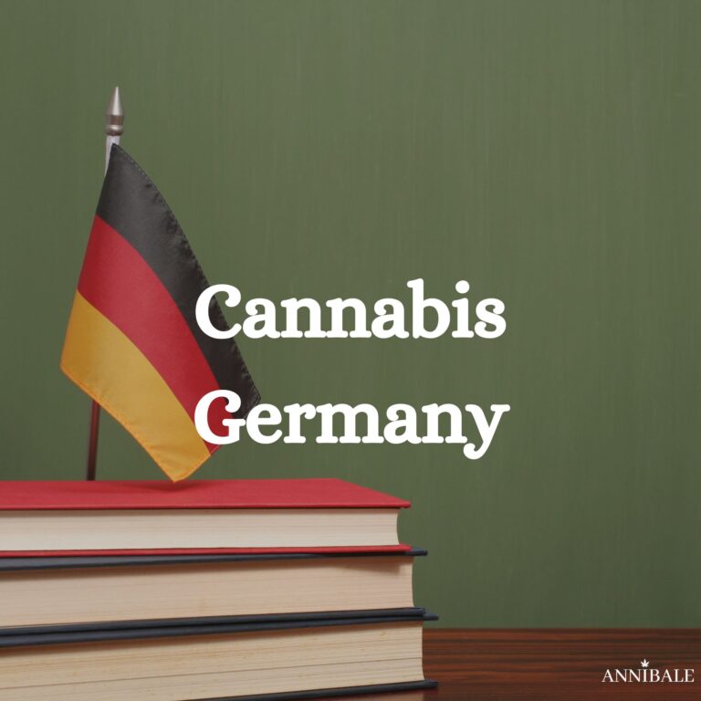 Germany & Cannabis: How Laws Work Today (2026)