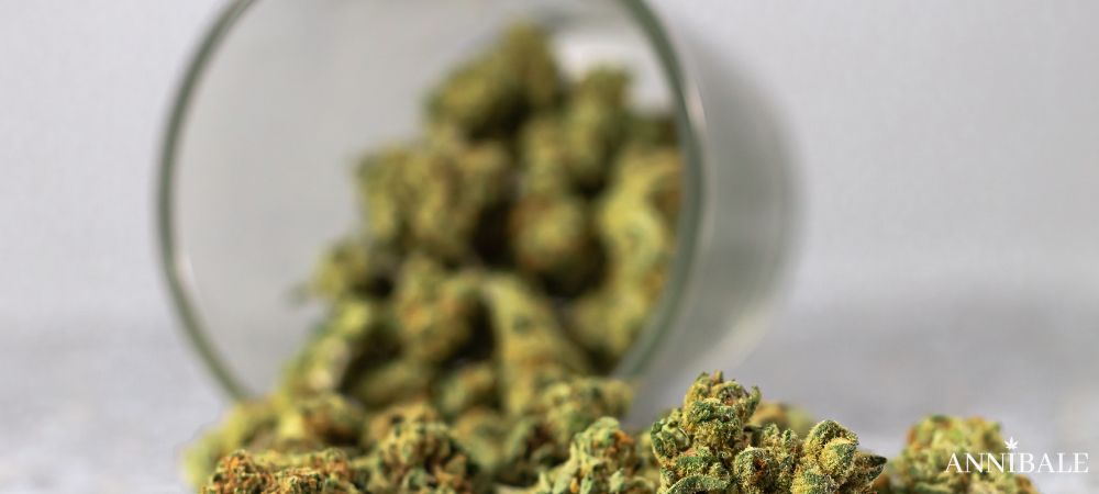 HHC and Semi Synthetic Cannabinoids - Annibale Seedshop